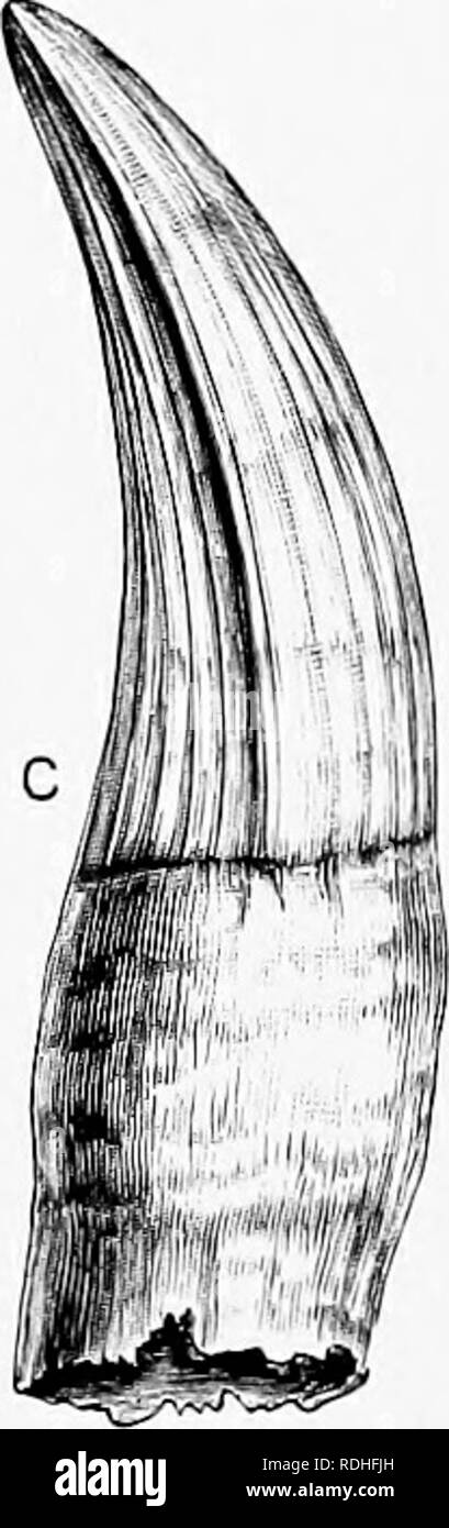 . Man and beast in eastern Ethiopia : From observations made in British ...