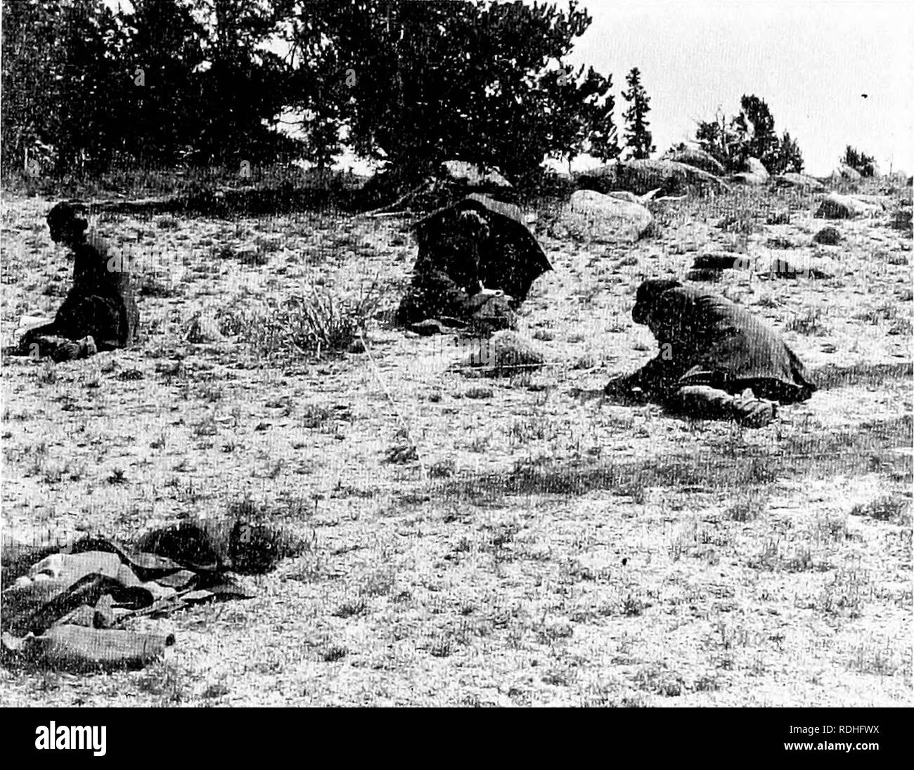 Quadrat research hi-res stock photography and images - Alamy