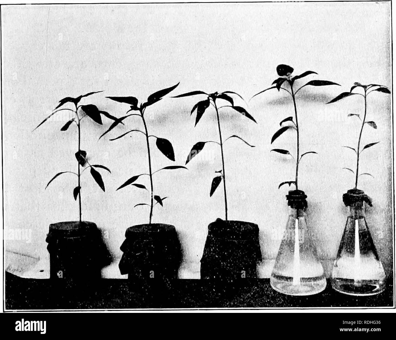 Opportunity base Black and White Stock Photos & Images - Alamy