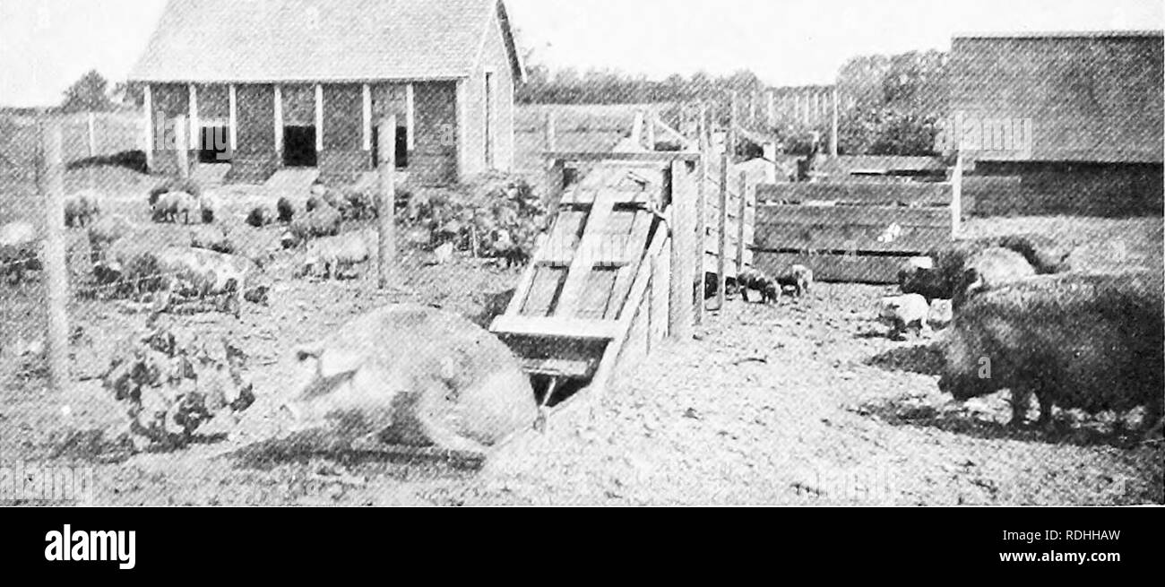 Cattle dip Black and White Stock Photos & Images - Alamy