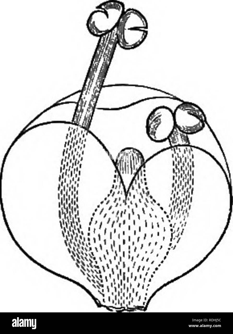 Face outwards Black and White Stock Photos & Images - Alamy