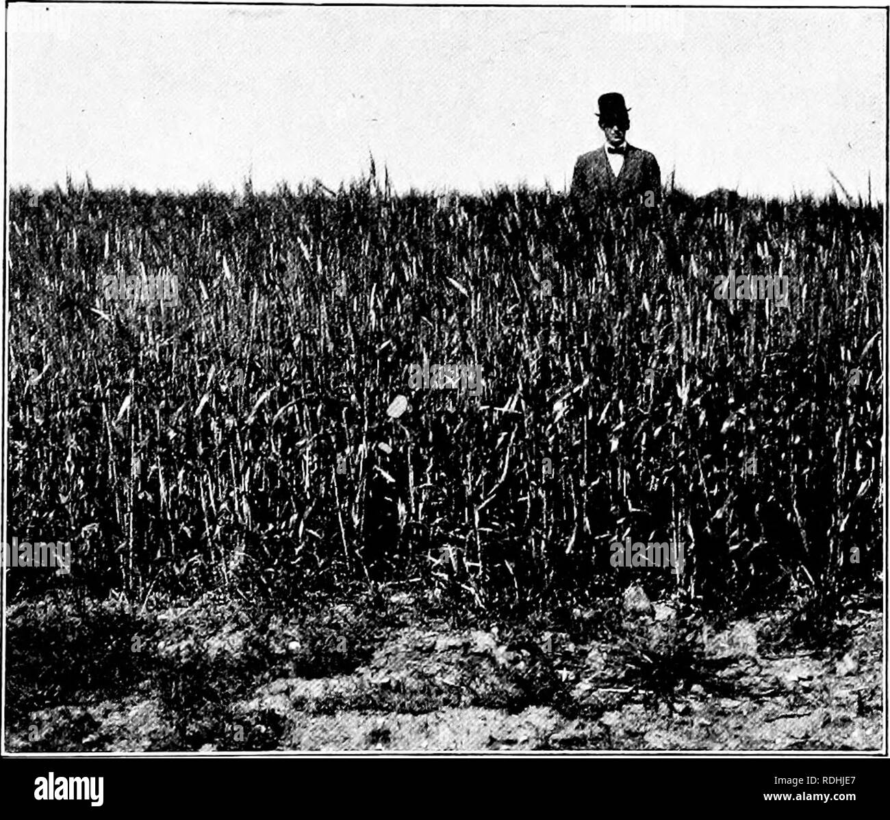 . Dry-farming; a system of agriculture for countries under a low ...