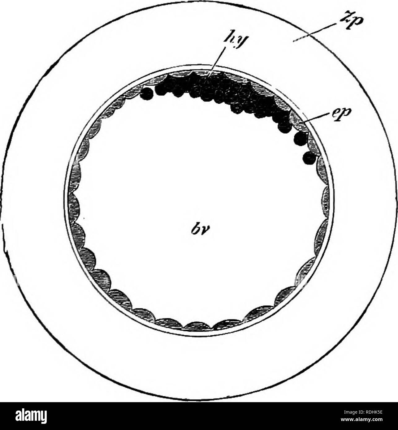 Recognisible hi-res stock photography and images - Alamy