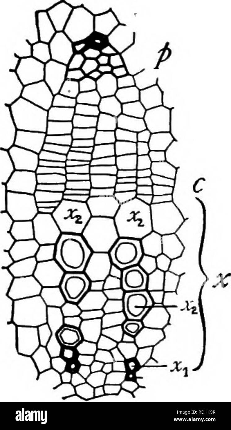 . A textbook of botany for colleges and universities ... Botany. 684 ...