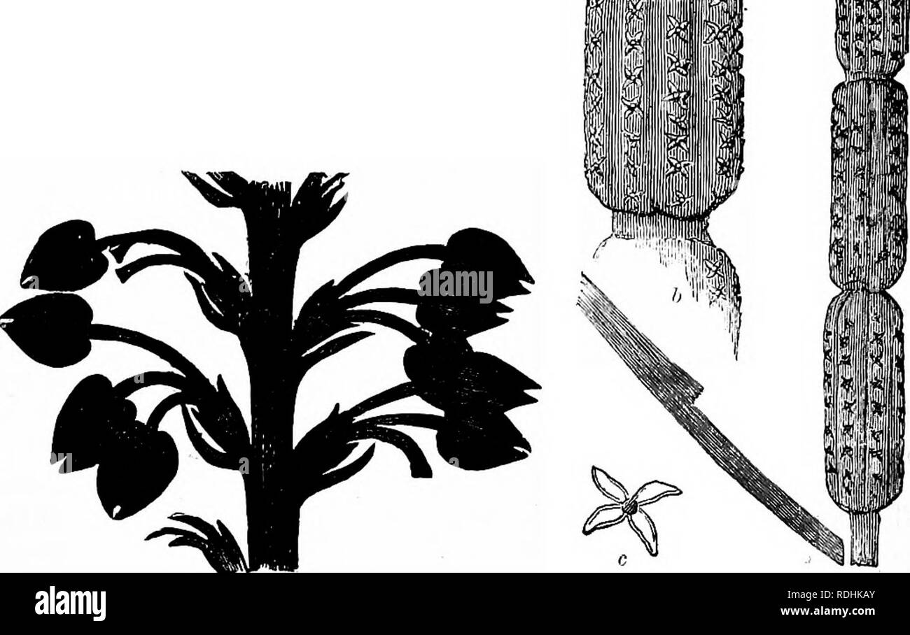 Charcoal structure study hi-res stock photography and images - Alamy