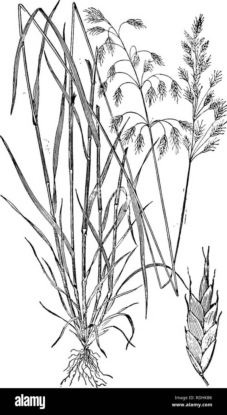 Crop management techniques Black and White Stock Photos & Images - Alamy