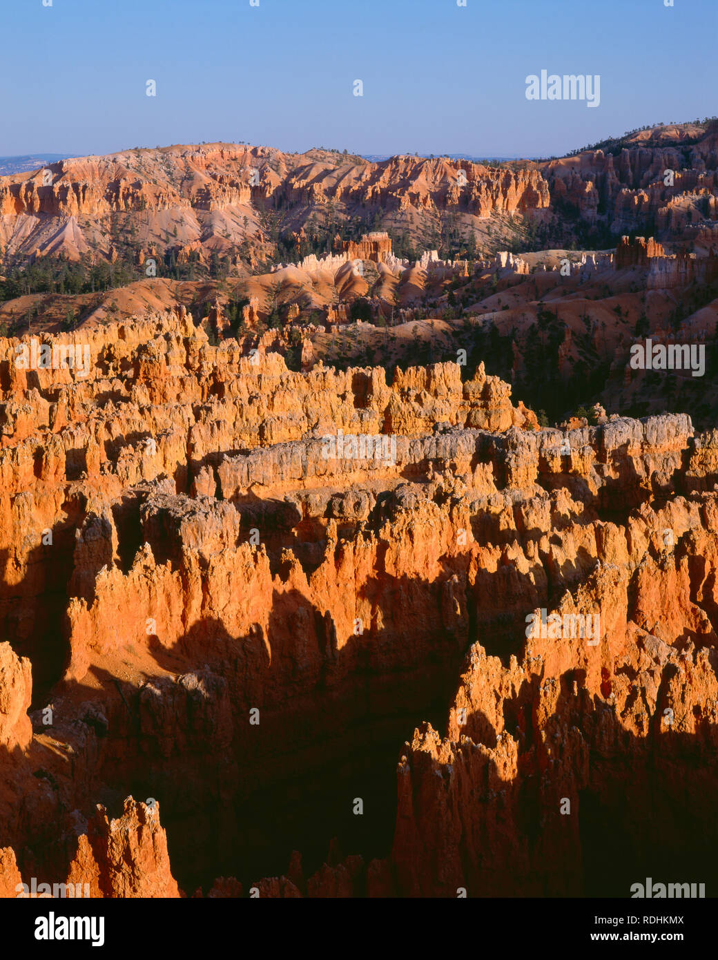USA, Utah, Bryce Canyon National Park, Colorful spires called hoodoos ...