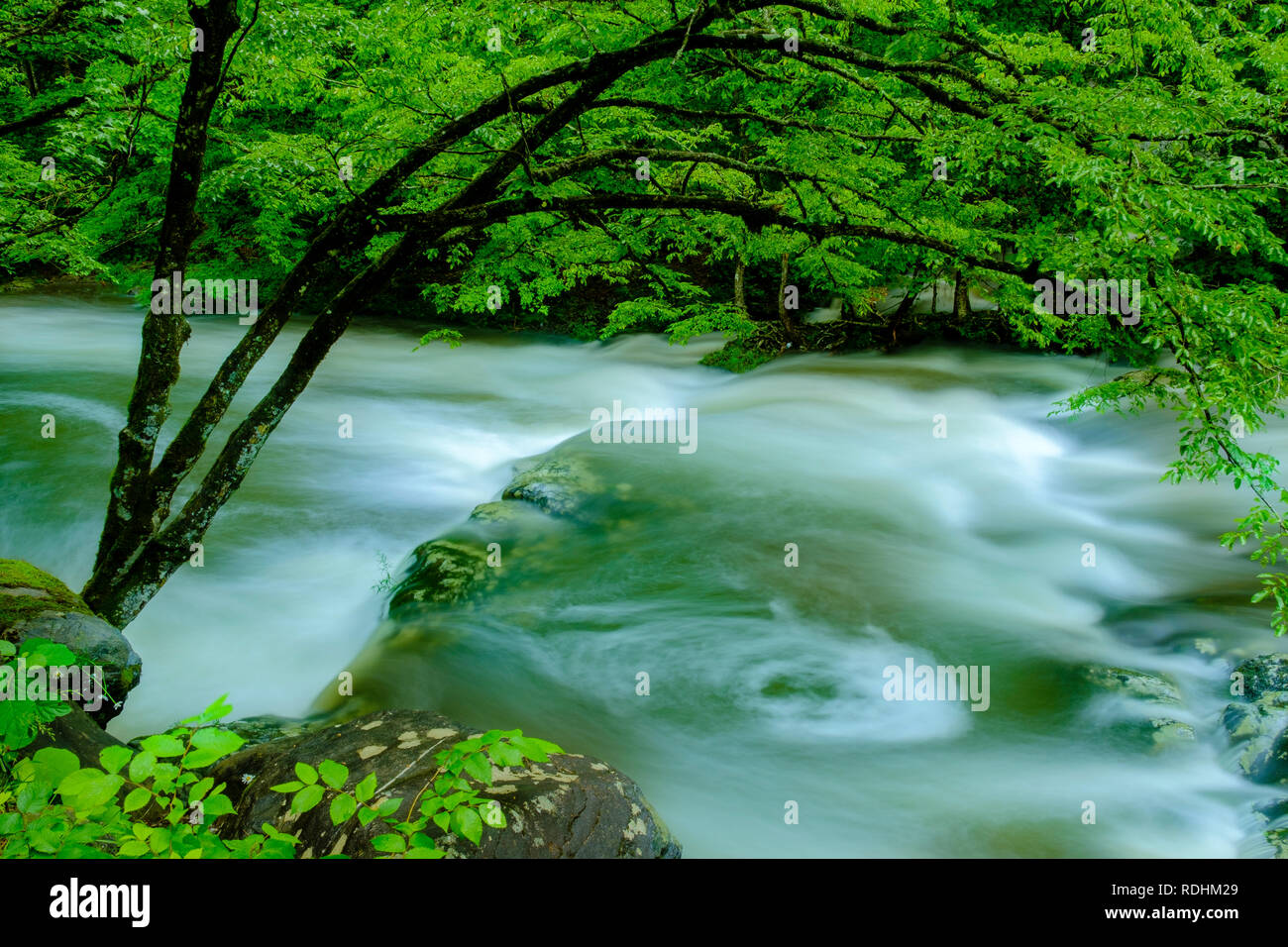 Whitewater landscape hi-res stock photography and images - Alamy
