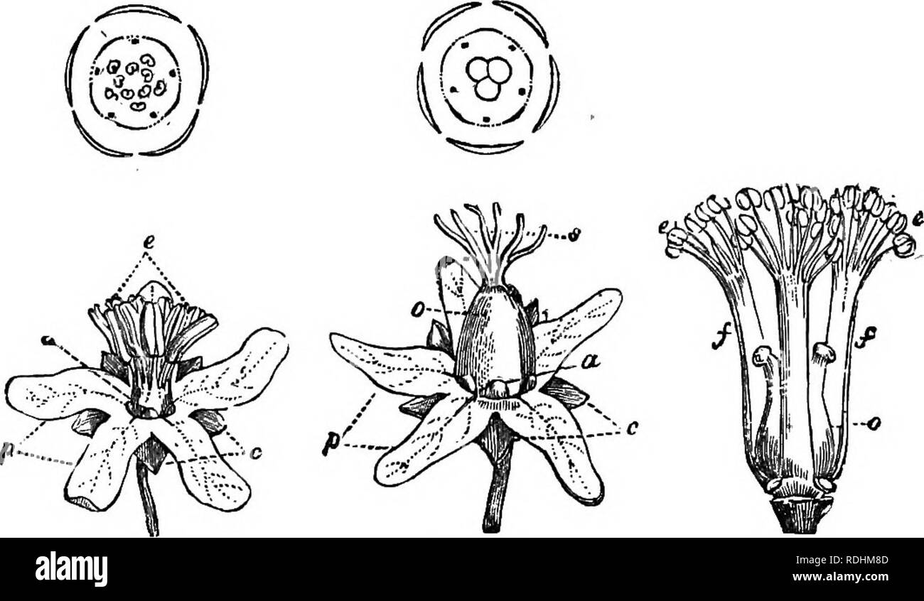 Articulated appendages hi-res stock photography and images - Alamy