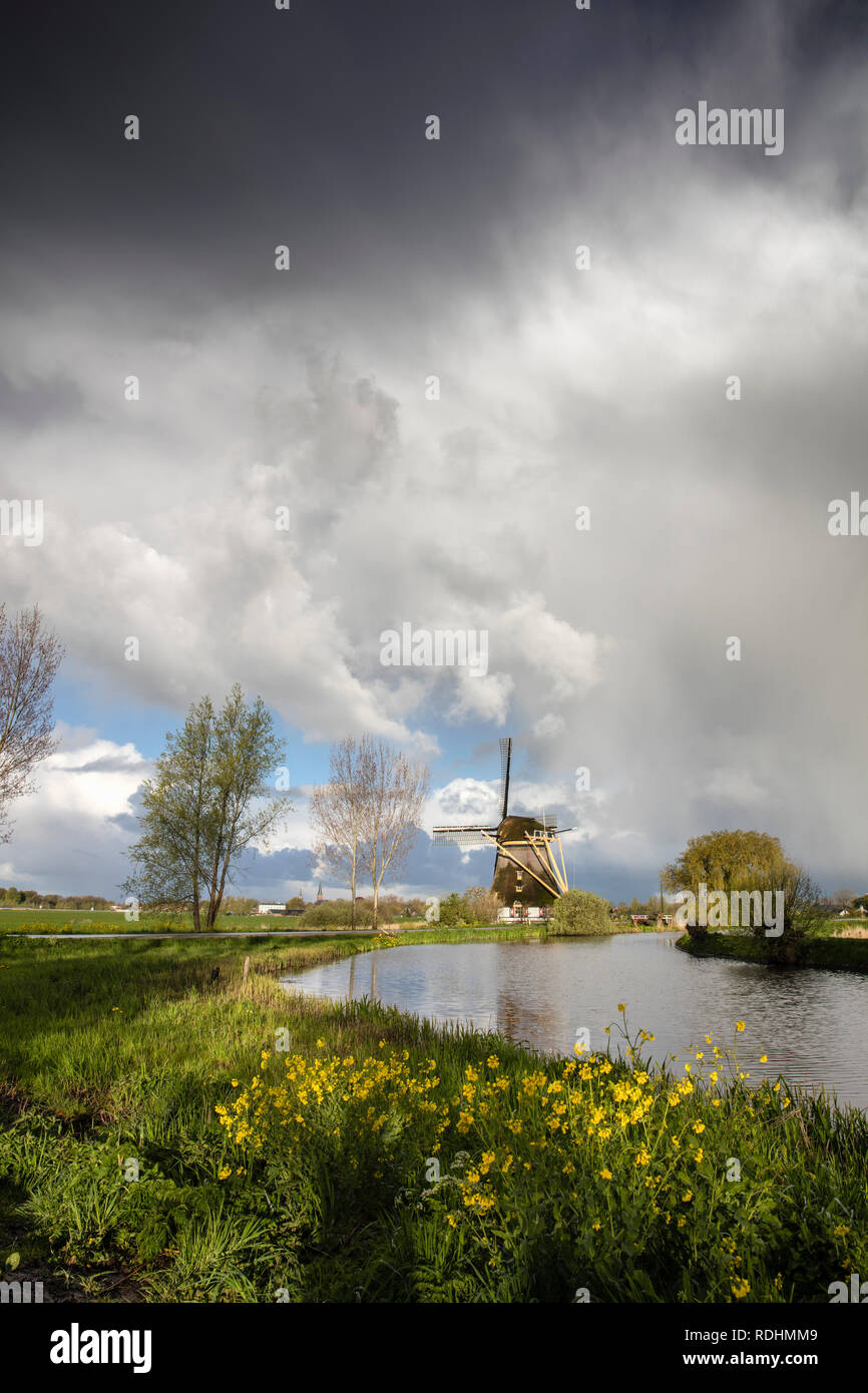Windmill near small river called Het Gein. Driemond, The Netherlands ...