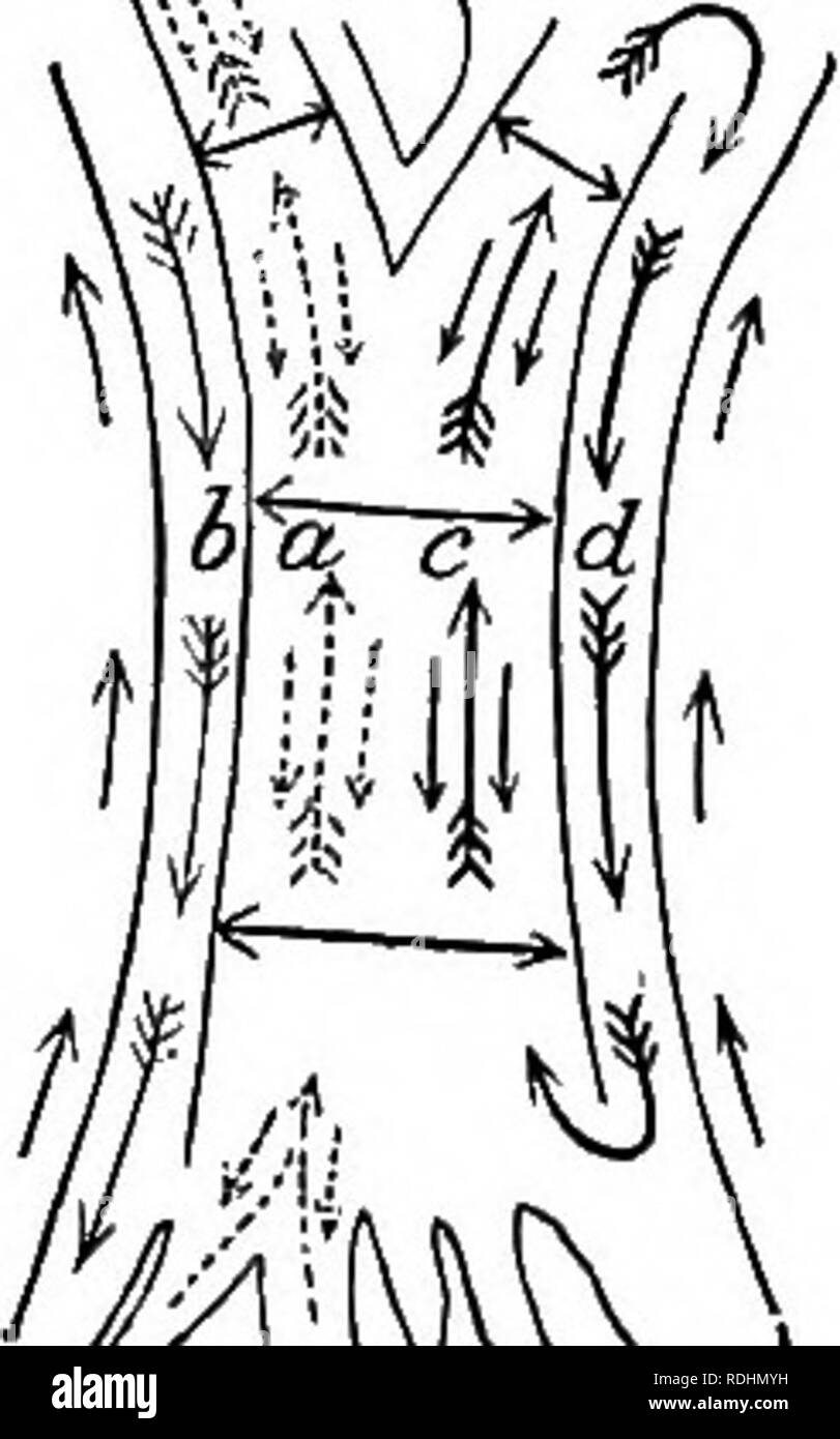 . A Manual of botany : being an introduction to the study of the ...