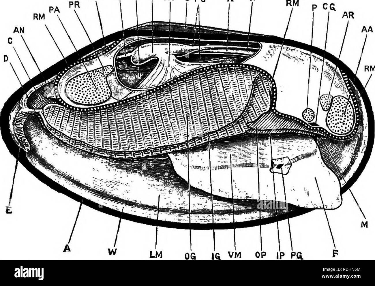 Nterior view Black and White Stock Photos & Images - Alamy