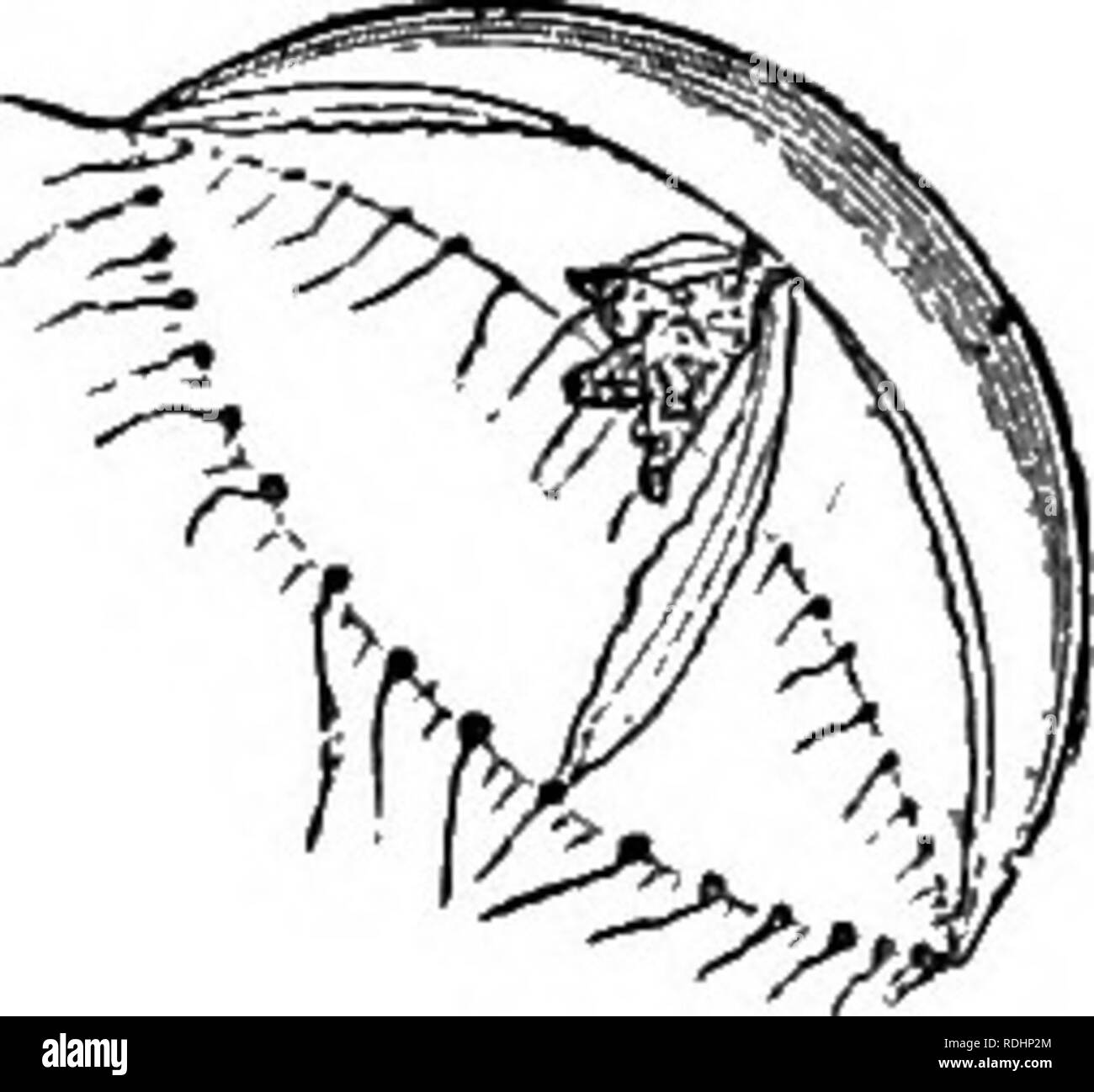 Microscopes in line hi-res stock photography and images - Alamy