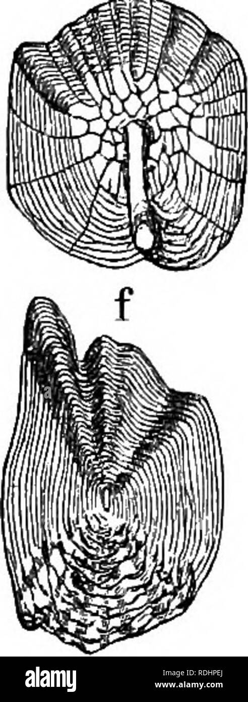 Second hand microscopes hi-res stock photography and images - Alamy