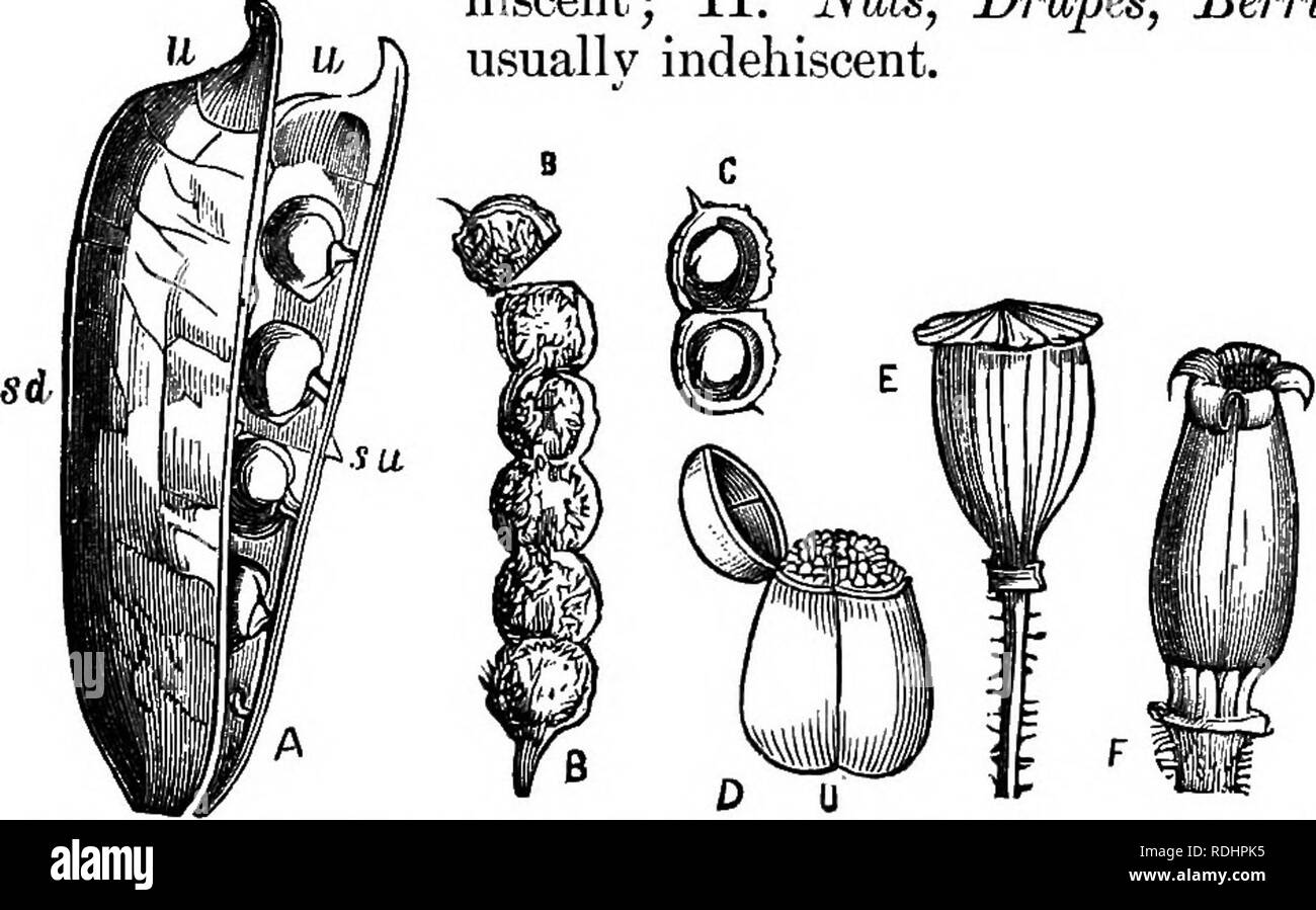 Loment Black and White Stock Photos & Images - Alamy