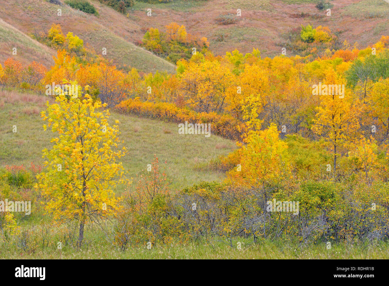 Autumn on the canadian prairie hi-res stock photography and images - Alamy