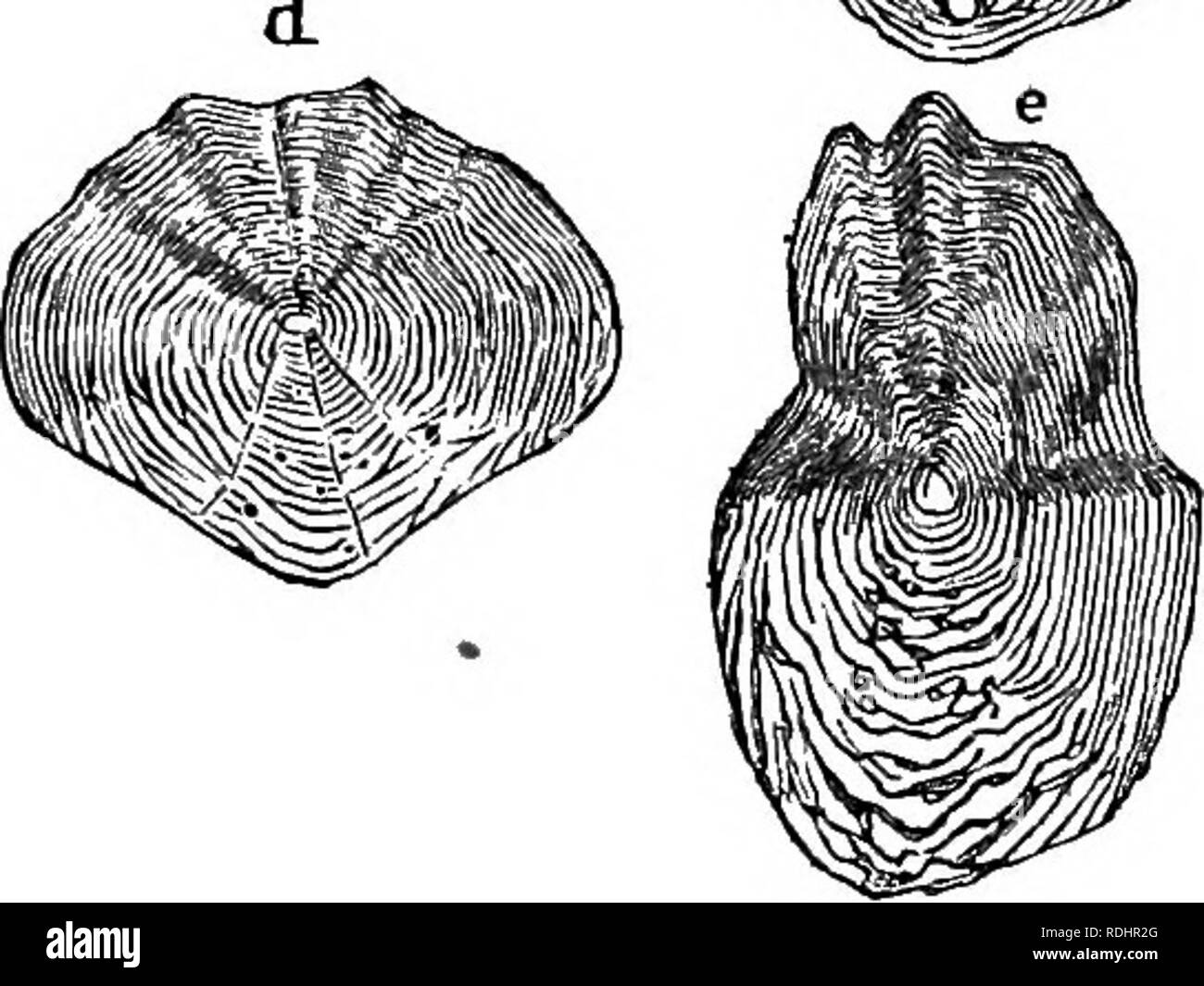 Fish skin medical Cut Out Stock Images & Pictures - Alamy