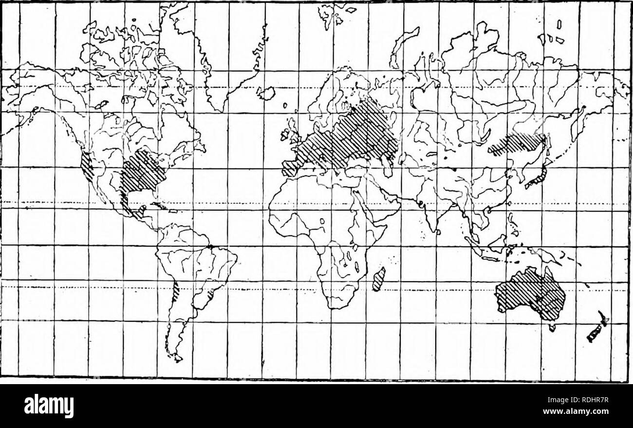 Cambarus genus hi-res stock photography and images - Alamy