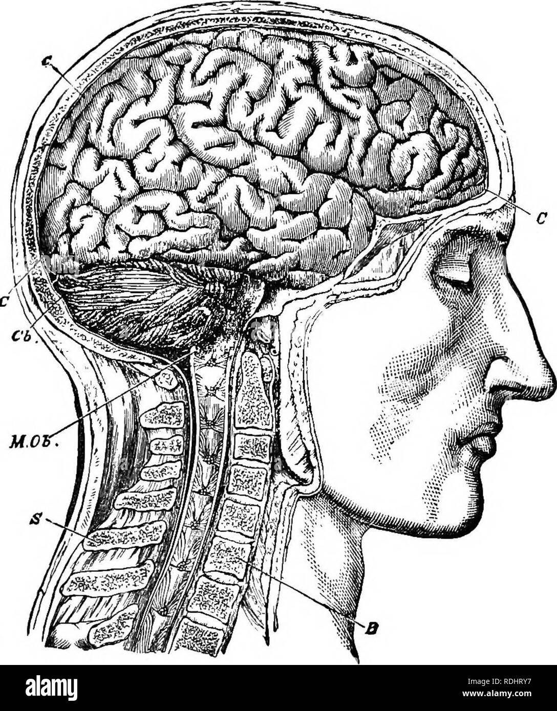 . A text-book in general physiology and anatomy. Physiology ...