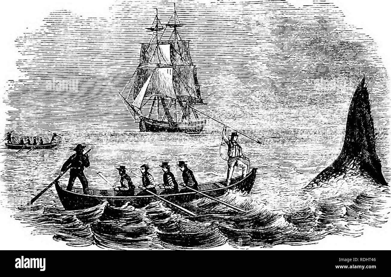 Tremulous surface hi-res stock photography and images - Alamy