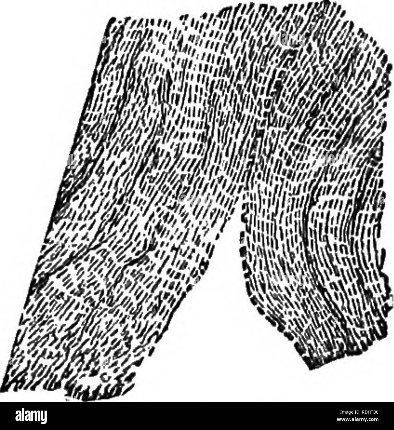 Ciliated epithelial cells Black and White Stock Photos & Images - Alamy