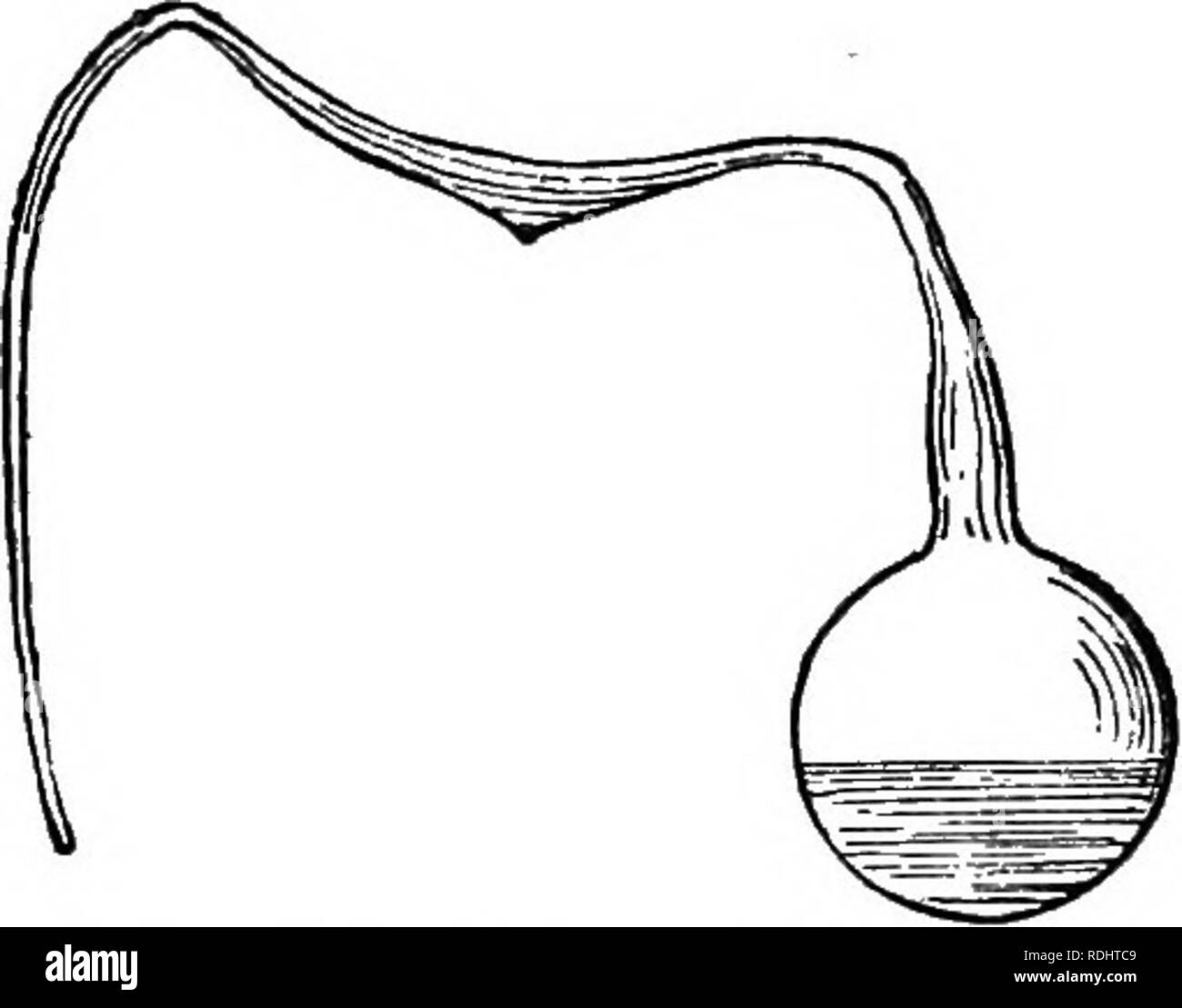 Pasteur flask hi-res stock photography and images - Alamy