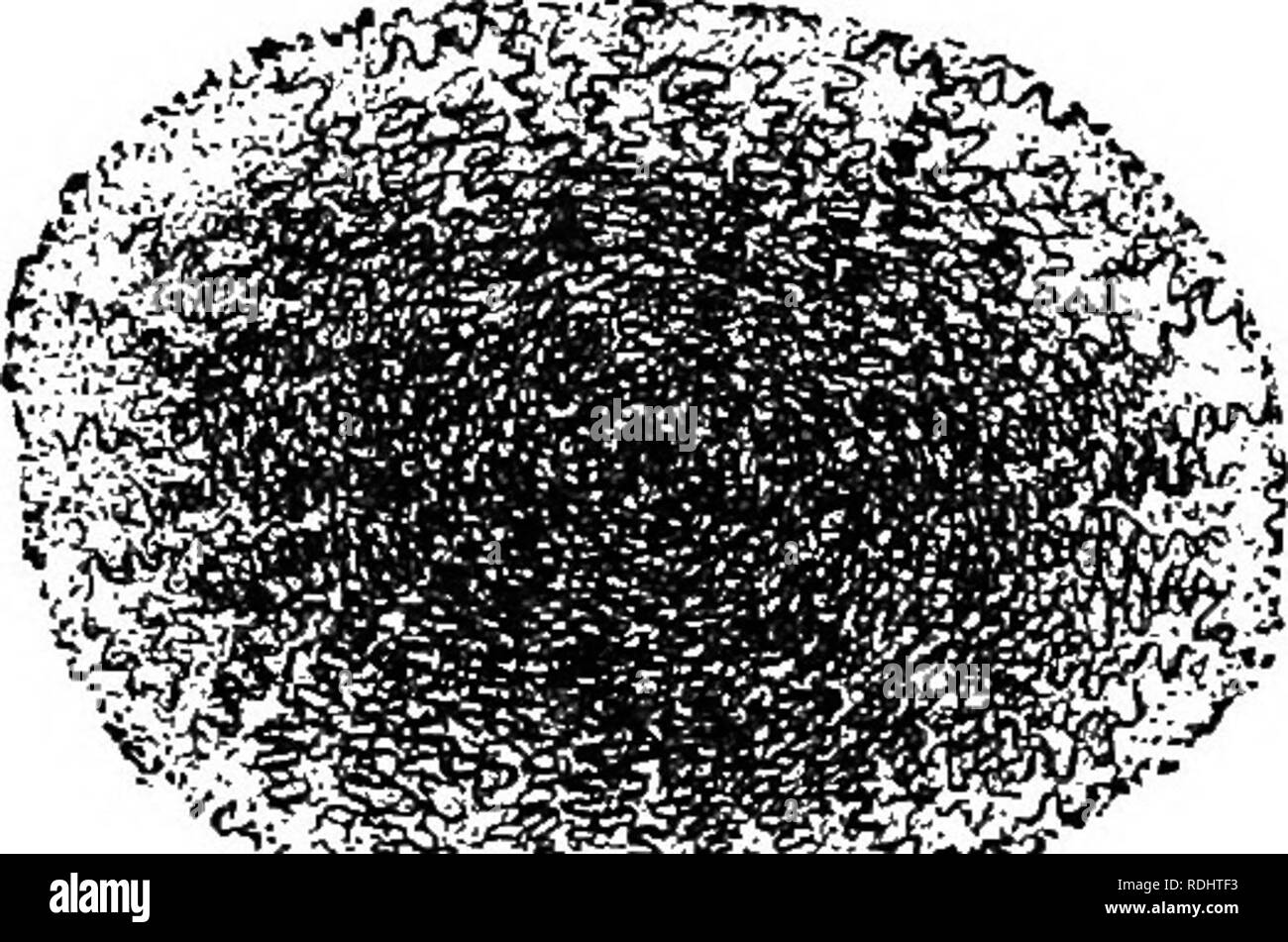 . Microbes, ferments and moulds . Bacteria; Fungi; Fermentation. 114 ...