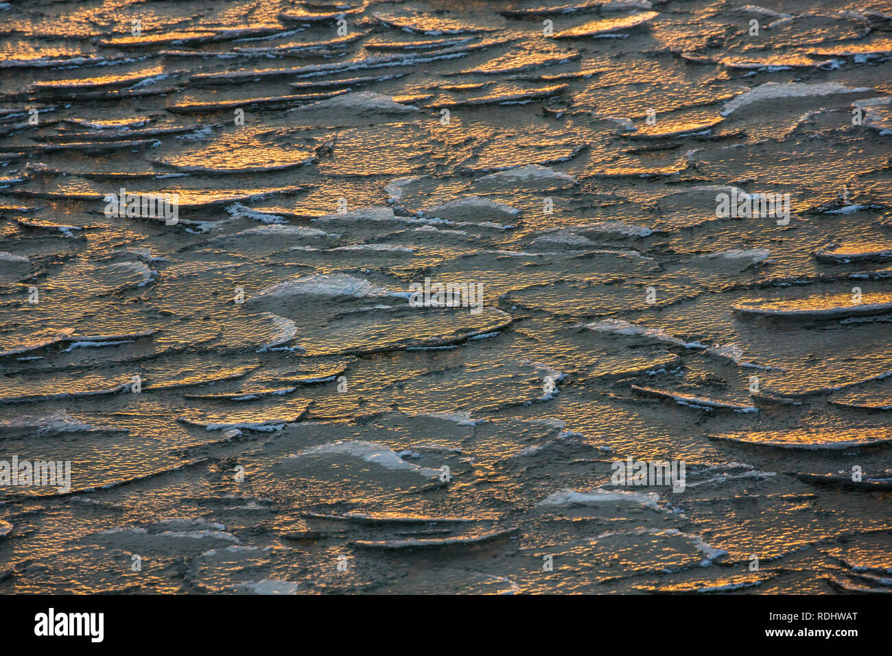 The Netherlands, Andijk. Lake called IJsselmeer. Winter. Frost. Drift ...