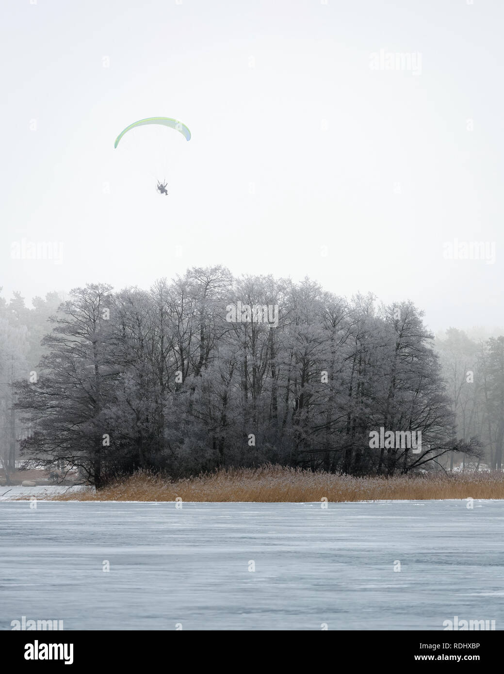 Paragliding flight above snowy trees hi-res stock photography and ...