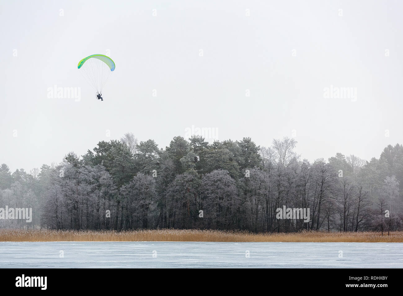 Paragliding flight above snowy trees hi-res stock photography and ...