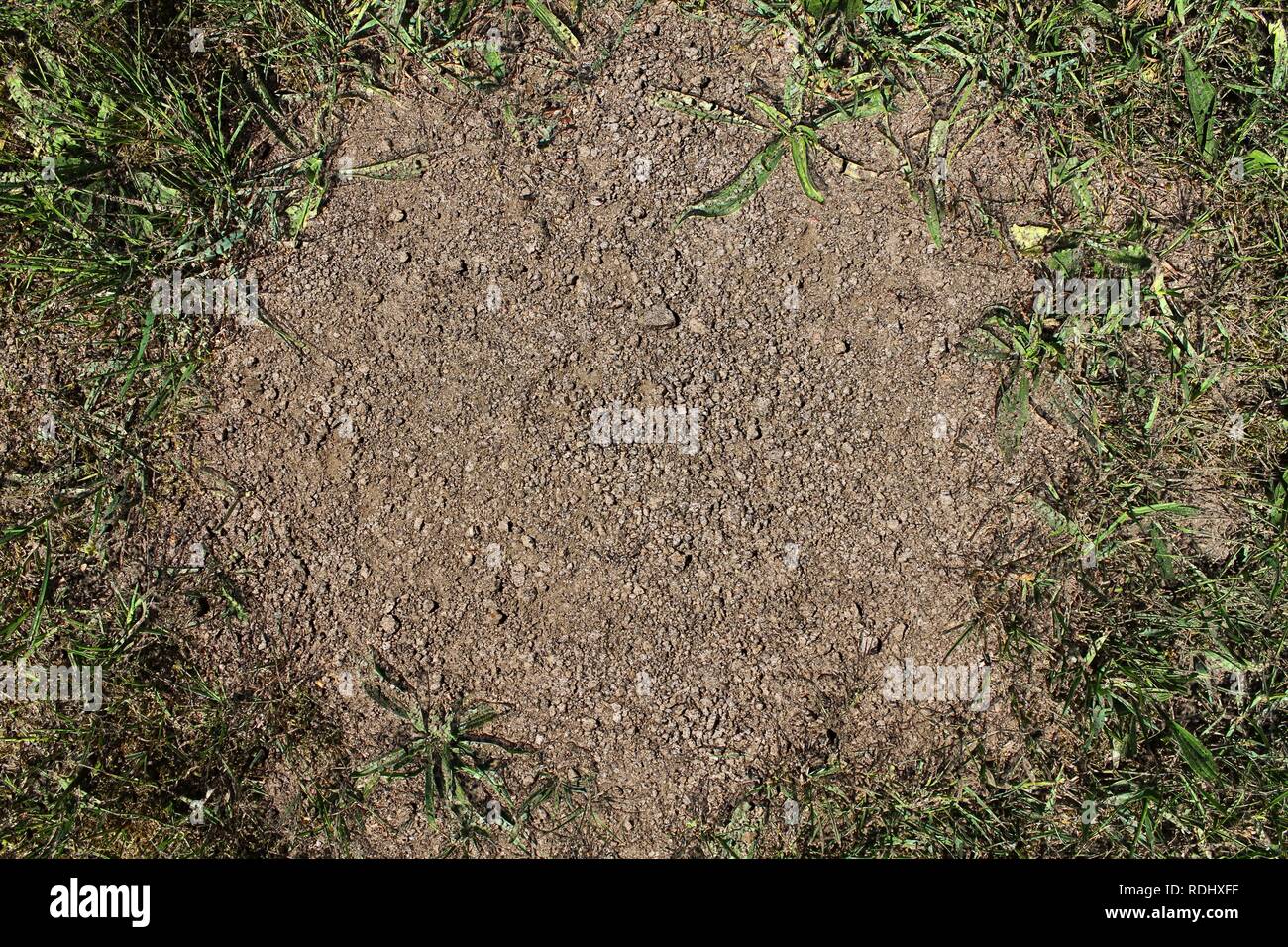 Close up high resolution surface of sand on the ground Stock Photo - Alamy