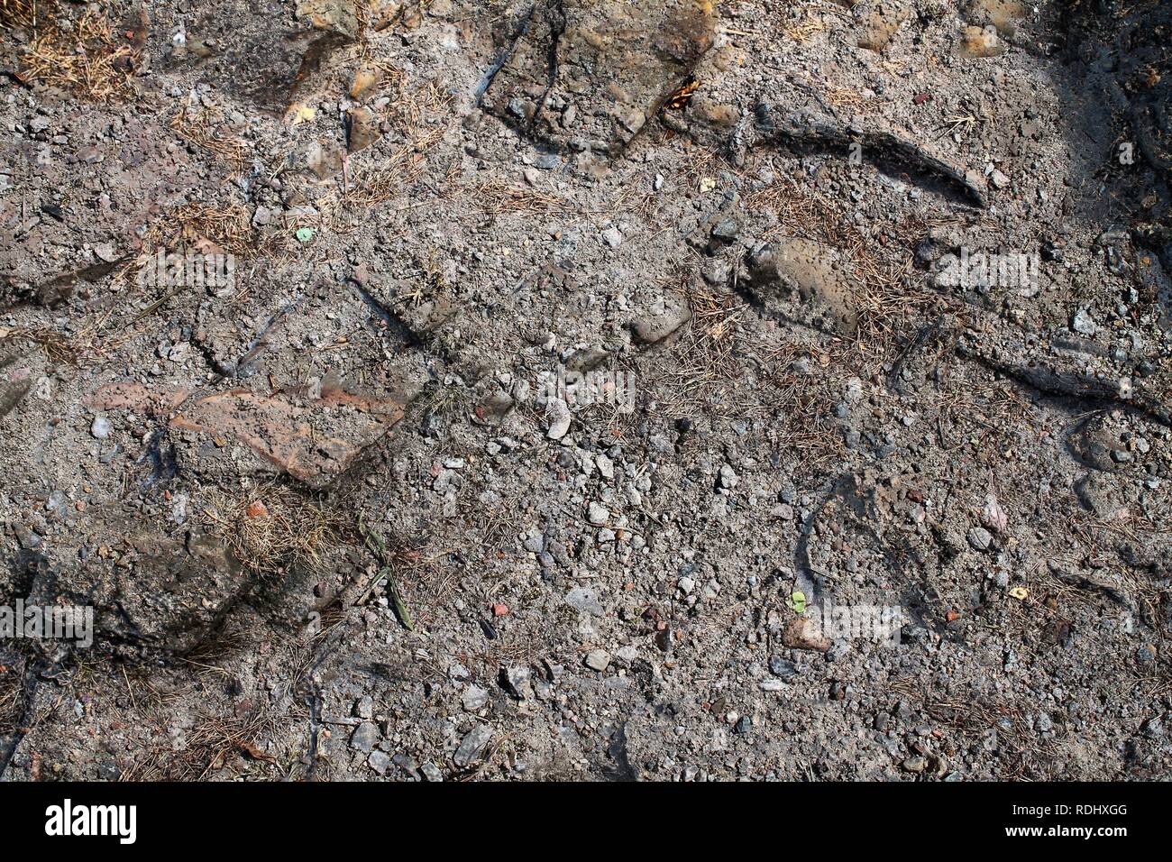 Close up high resolution surface of sand on the ground Stock Photo - Alamy