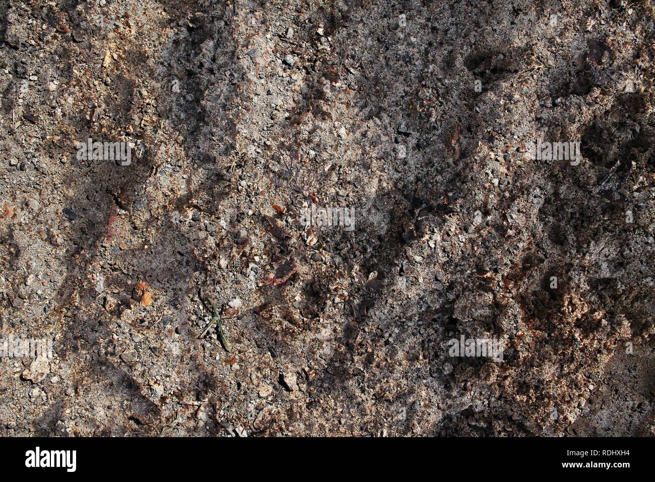 Close up high resolution surface of sand on the ground Stock Photo - Alamy