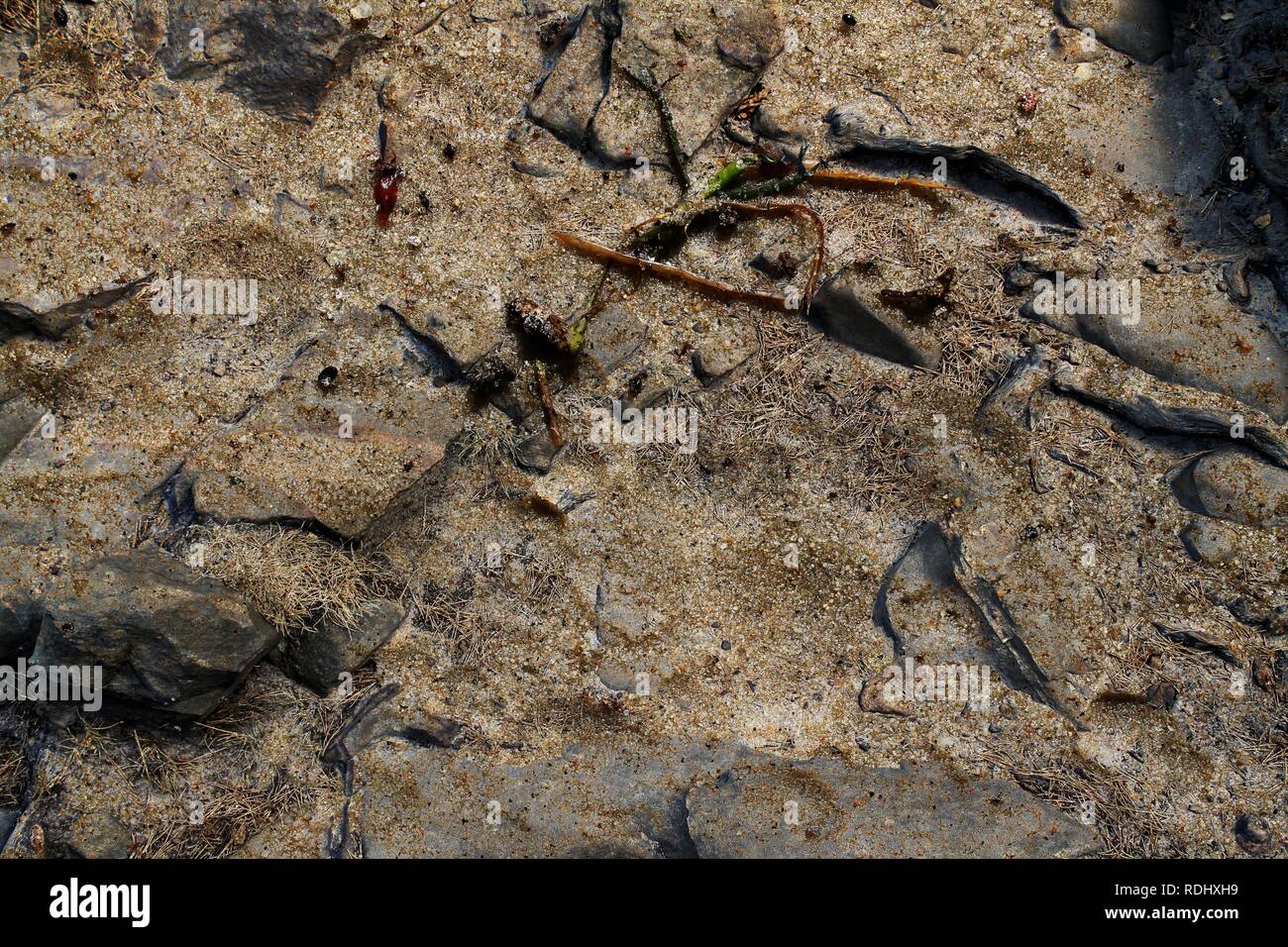 Close up high resolution surface of sand on the ground Stock Photo - Alamy