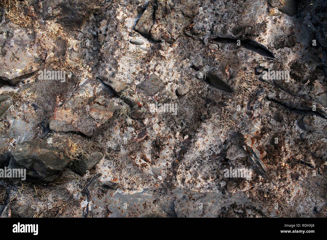 Close up high resolution surface of sand on the ground Stock Photo - Alamy