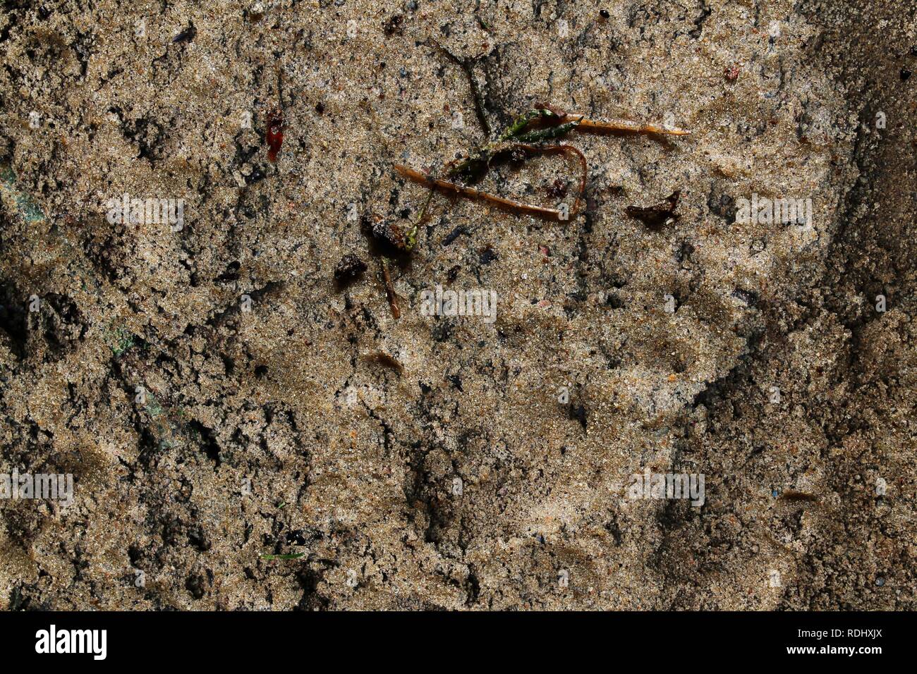 Close up high resolution surface of sand on the ground Stock Photo - Alamy