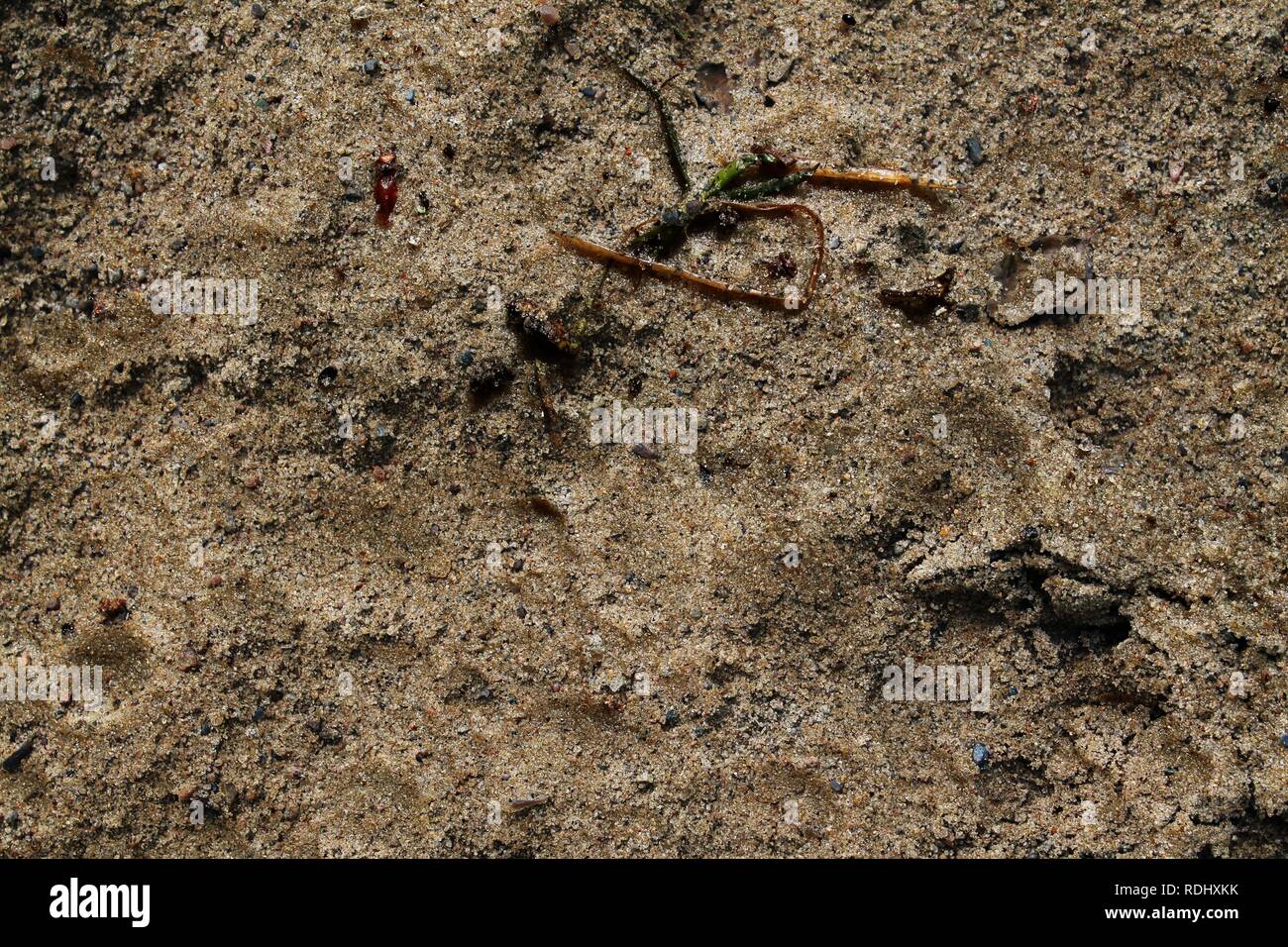Close up high resolution surface of sand on the ground Stock Photo - Alamy