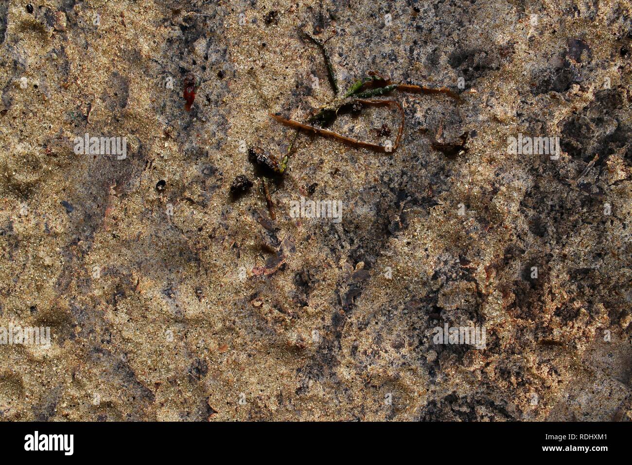 Close up high resolution surface of sand on the ground Stock Photo - Alamy