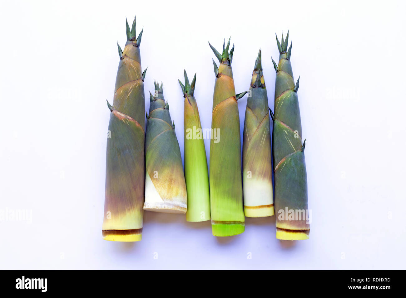 Bamboo shoot on white background Stock Photo - Alamy