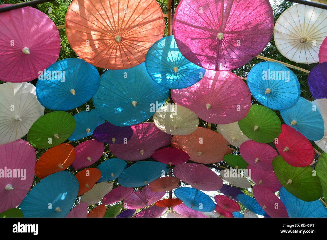 Colorful Paper umbrella handmade umbrella, Colorful umbrellas ...