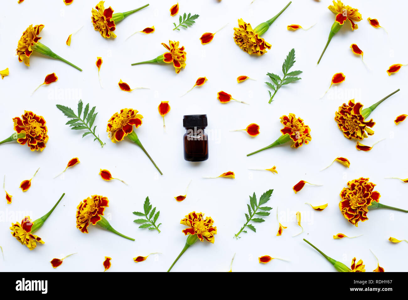 Essential oil of marigold flower Stock Photo - Alamy