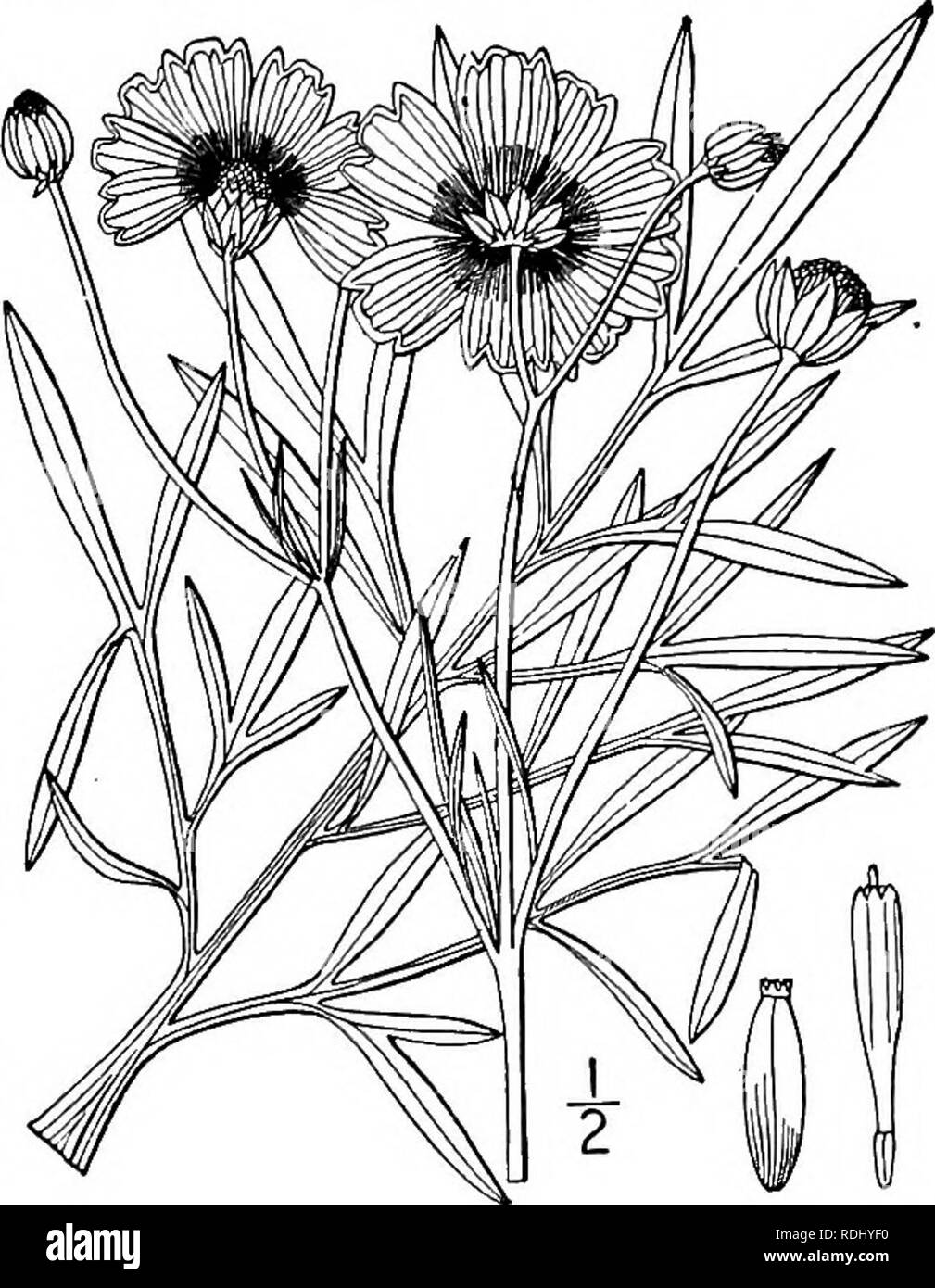 568 dc Black and White Stock Photos & Images - Alamy