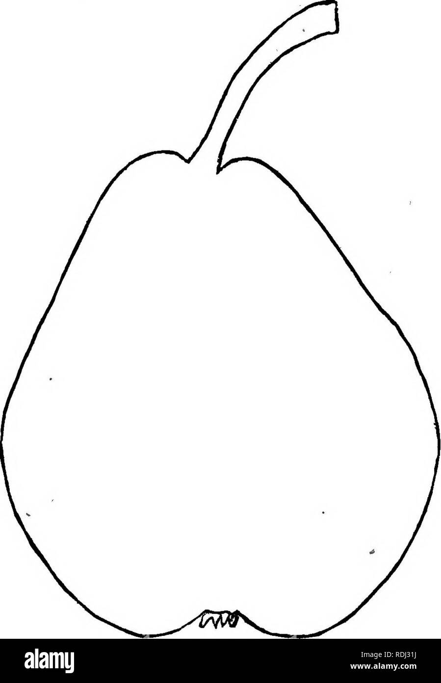 Skinless fruit Black and White Stock Photos & Images - Alamy