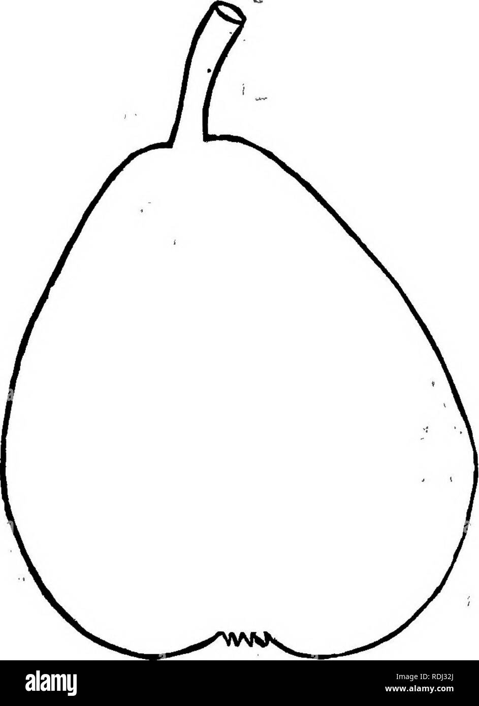 Pear skin Black and White Stock Photos & Images - Alamy