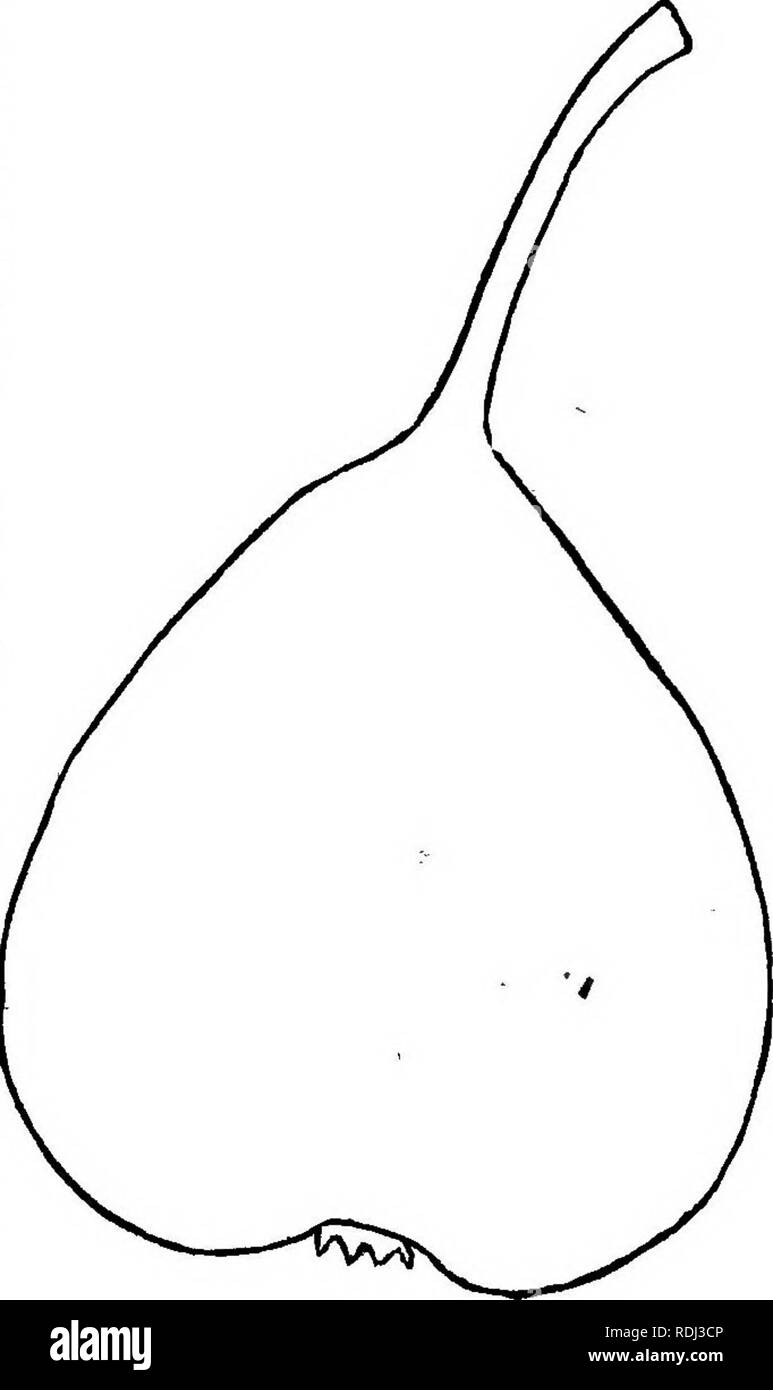 . The fruits and fruit trees of America : or, The culture, propagation ...