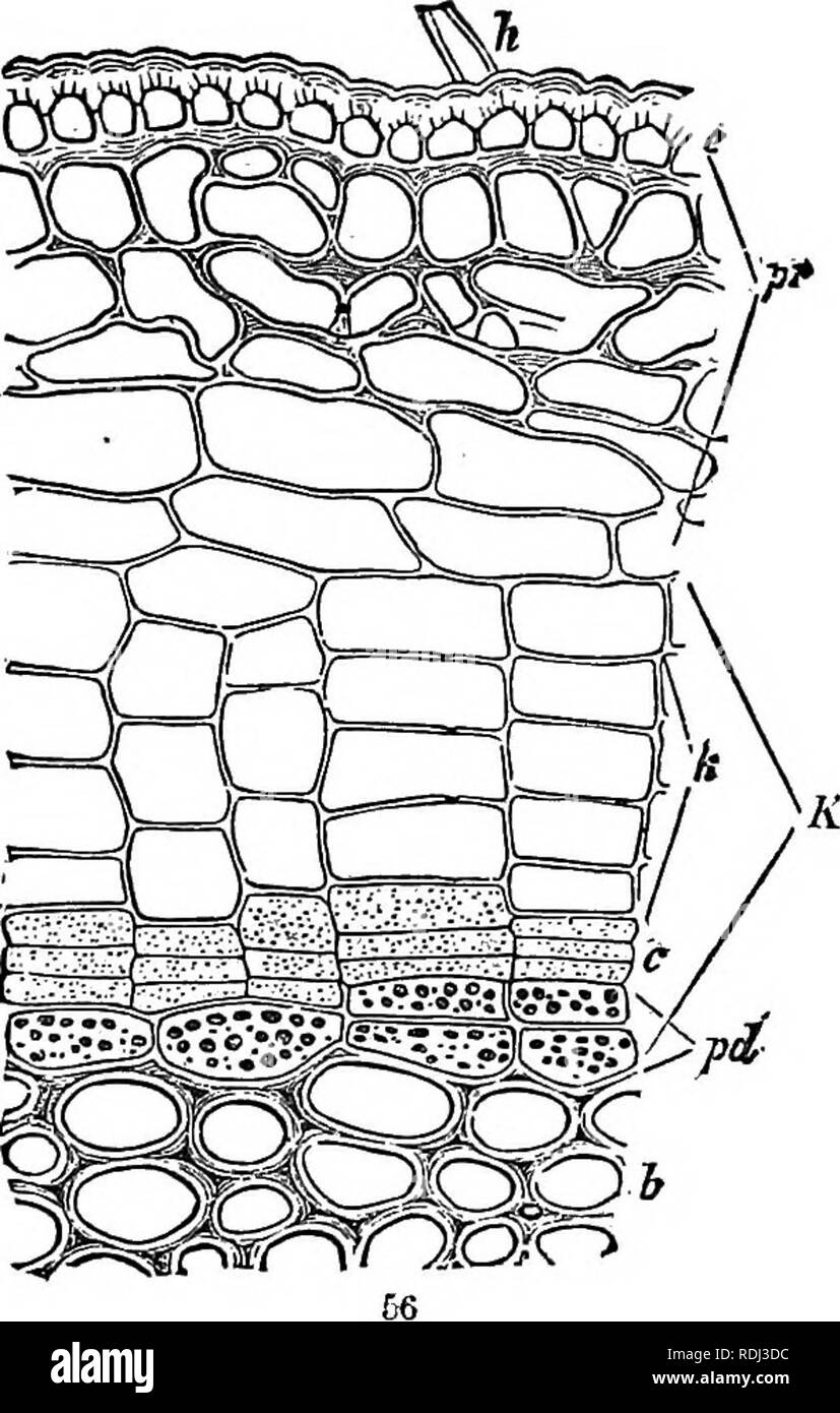 Turn off the cork hi-res stock photography and images - Alamy