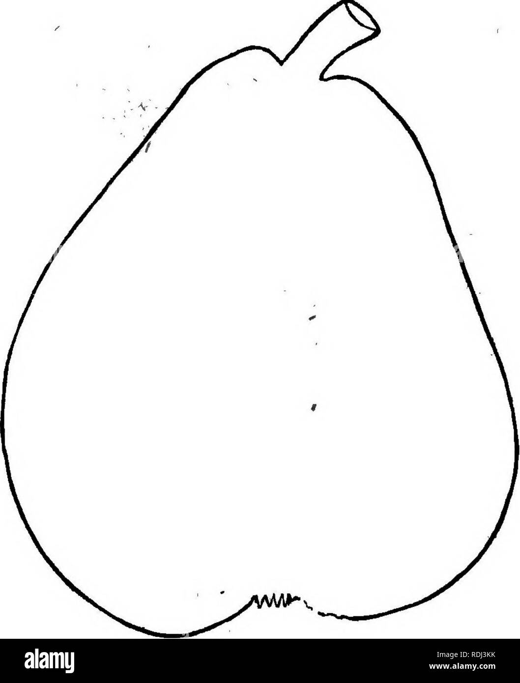 Pear skin Black and White Stock Photos & Images - Alamy