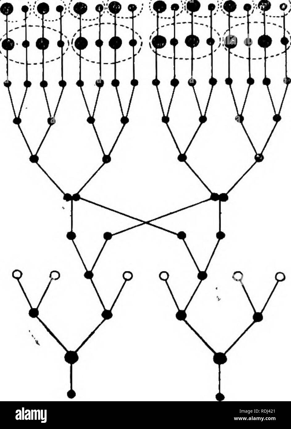 . A manual of elementary zoology . Zoology. 136 MANUAL OF ELEMENTARY ...