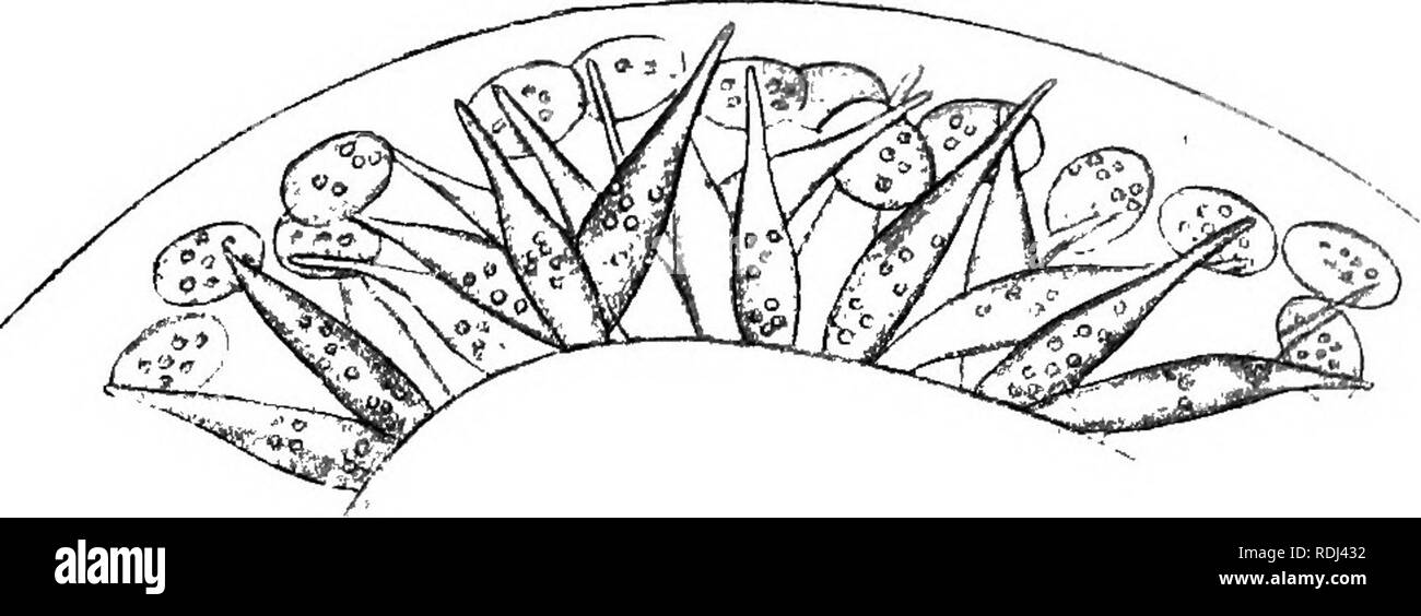 Individual history of the development Black and White Stock Photos ...