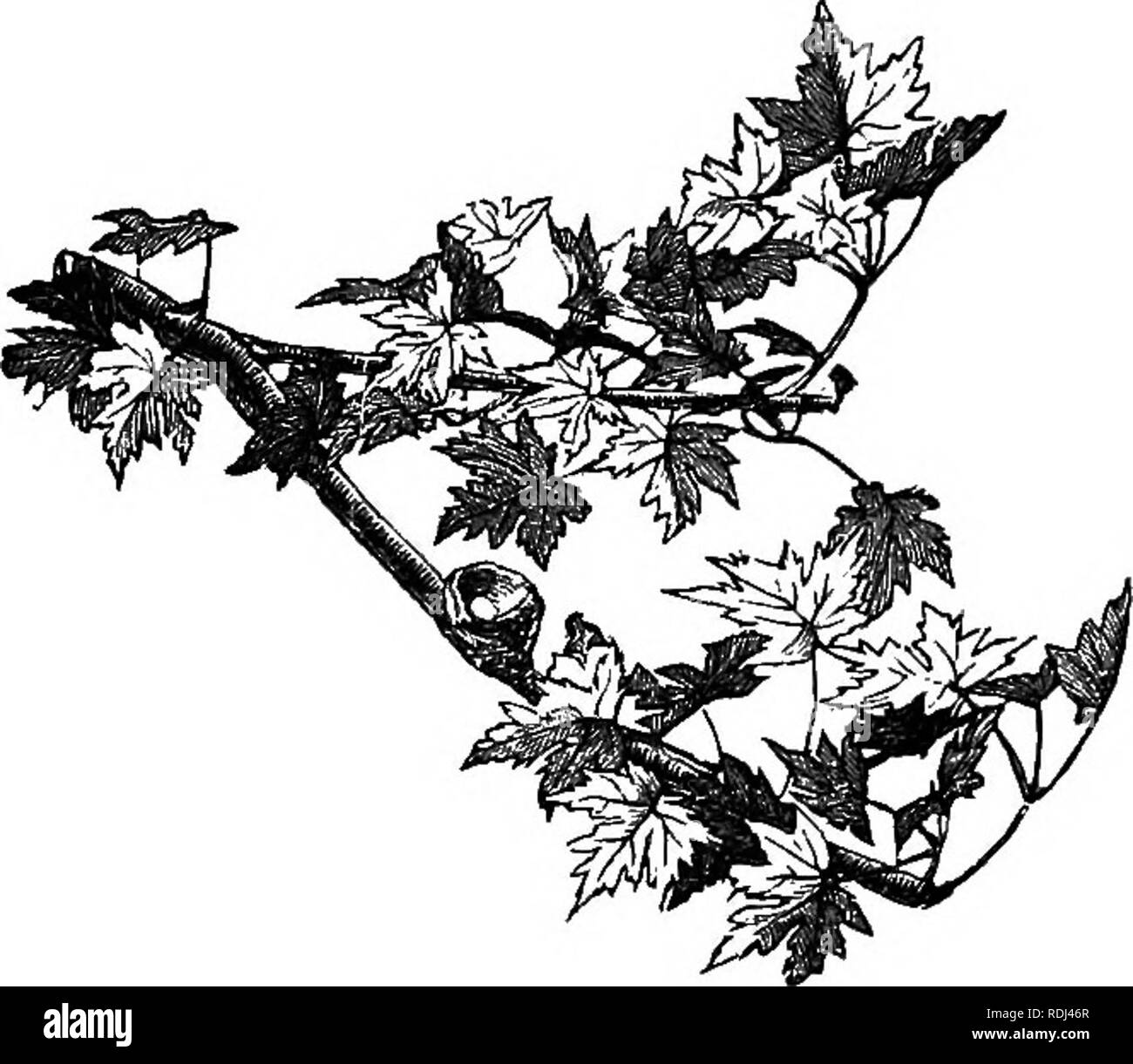 Two stone crosses Cut Out Stock Images & Pictures - Alamy